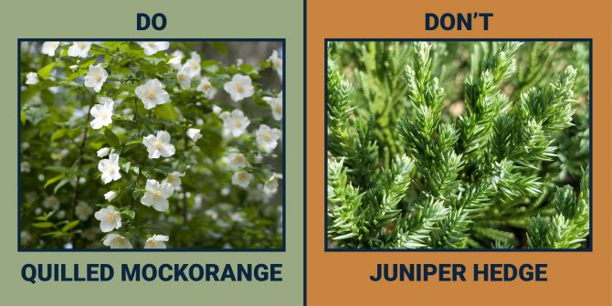 Firewise Design – UPWARD | Architecture and Interiors